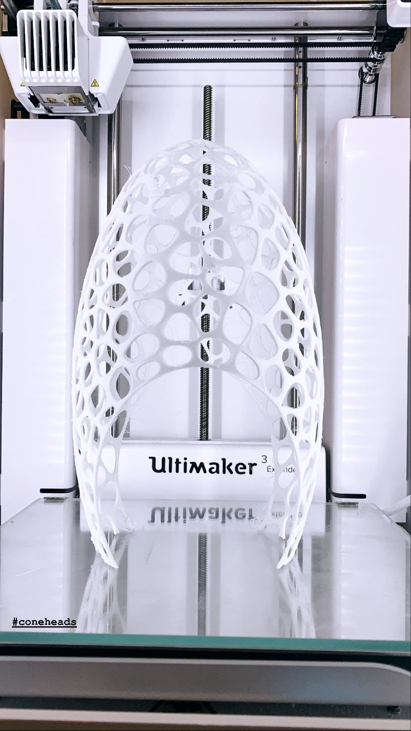 Bird Feeder - Mobius Egg Voronoi 3D model 3D printable | CGTrader