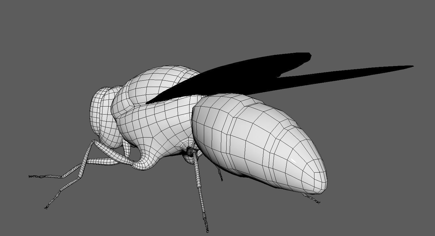 3D model Housefly lowpoly 3d model and 3d print model VR / AR / low ...
