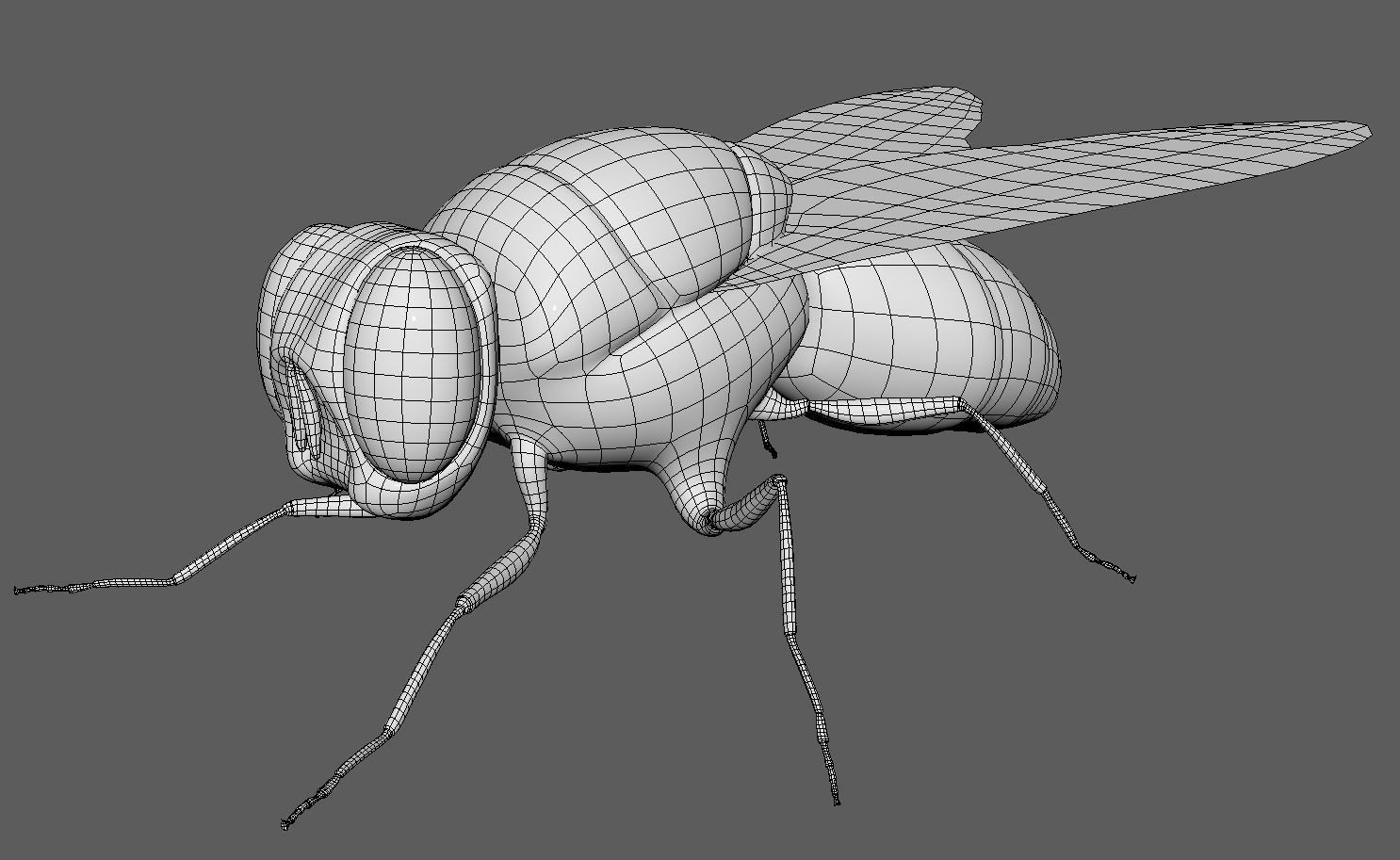 3D model Housefly lowpoly 3d model and 3d print model VR / AR / low ...