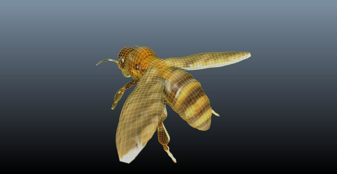 3D model honey bee lowpoly VR / AR / low-poly | CGTrader