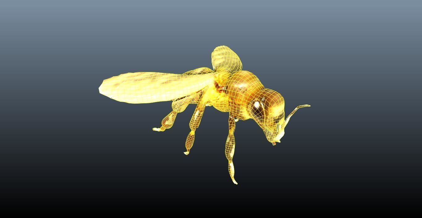 3D model honey bee lowpoly VR / AR / low-poly | CGTrader