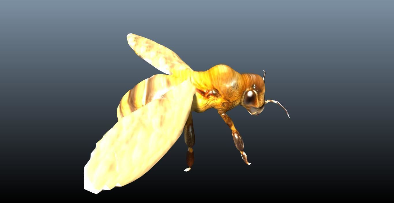 3D model honey bee lowpoly VR / AR / low-poly | CGTrader