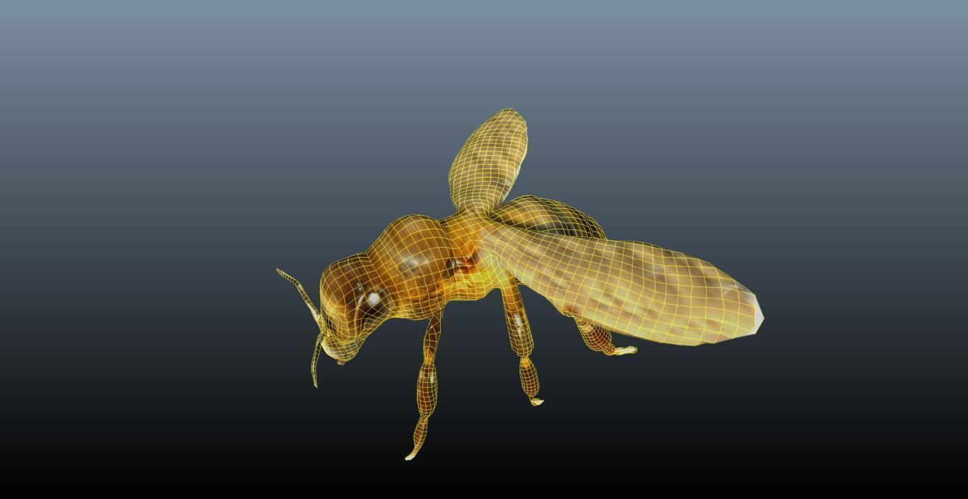 3D model honey bee lowpoly VR / AR / low-poly | CGTrader