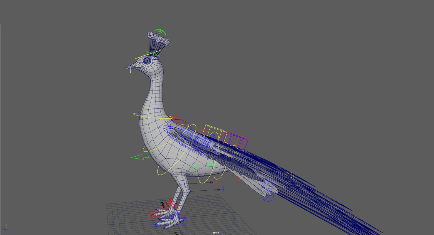 3D model Peacock bird VR / AR / low-poly | CGTrader