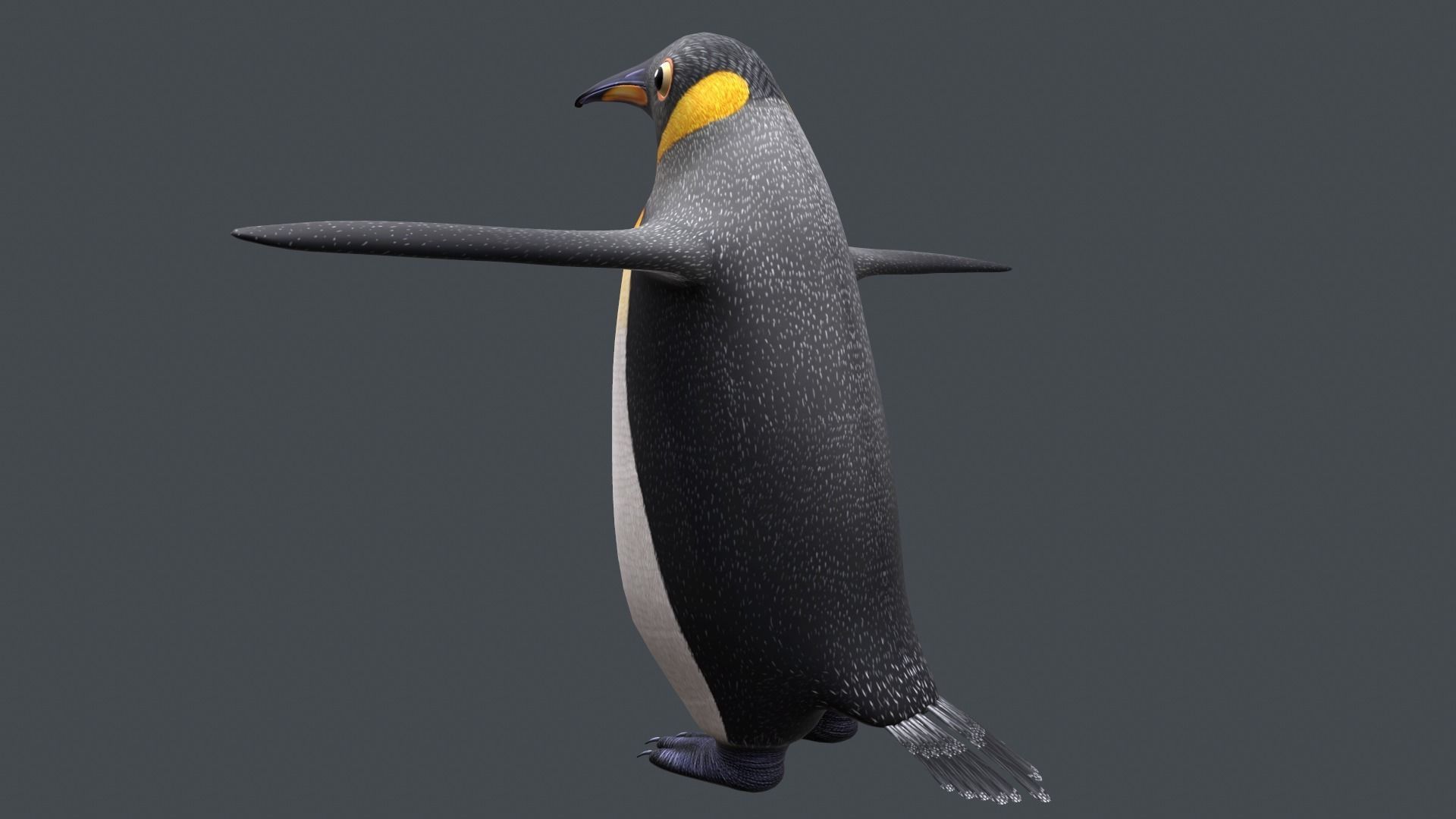 3D model Penguin VR / AR / low-poly | CGTrader