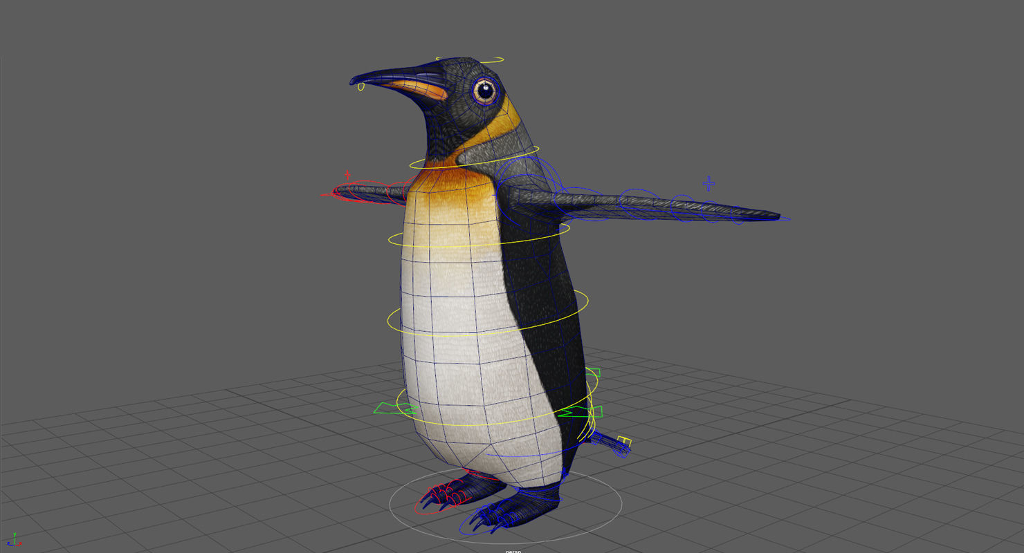 3D model Penguin VR / AR / low-poly | CGTrader