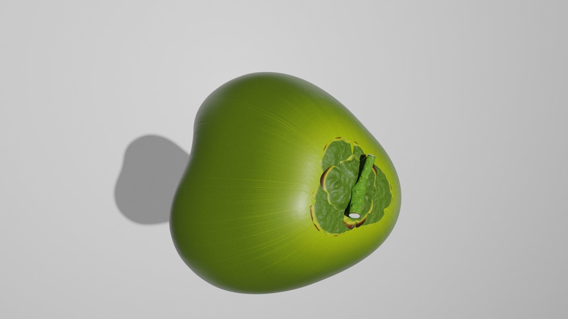 Fresh Coconut 3D model | CGTrader