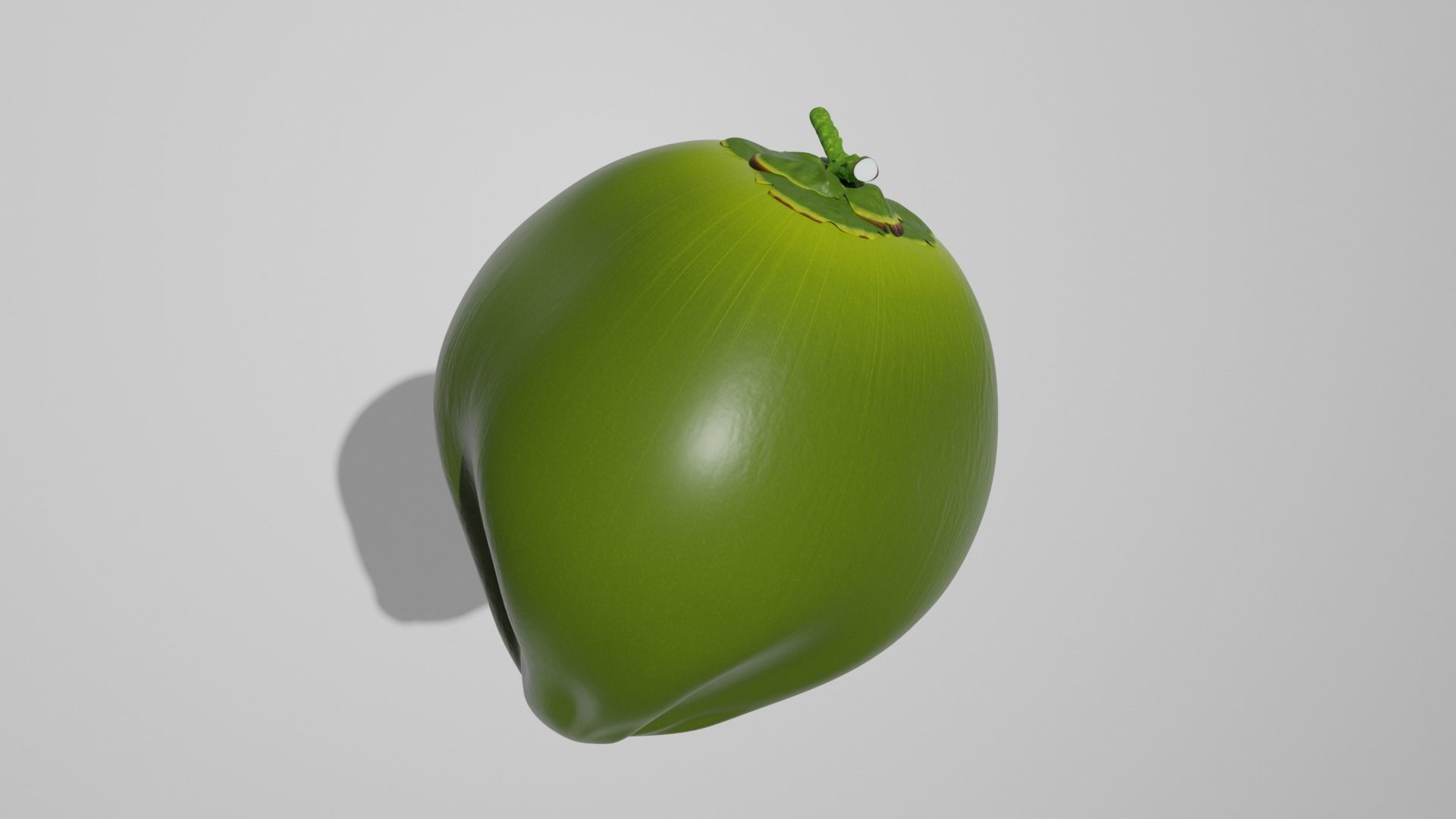 Fresh Coconut 3D model | CGTrader