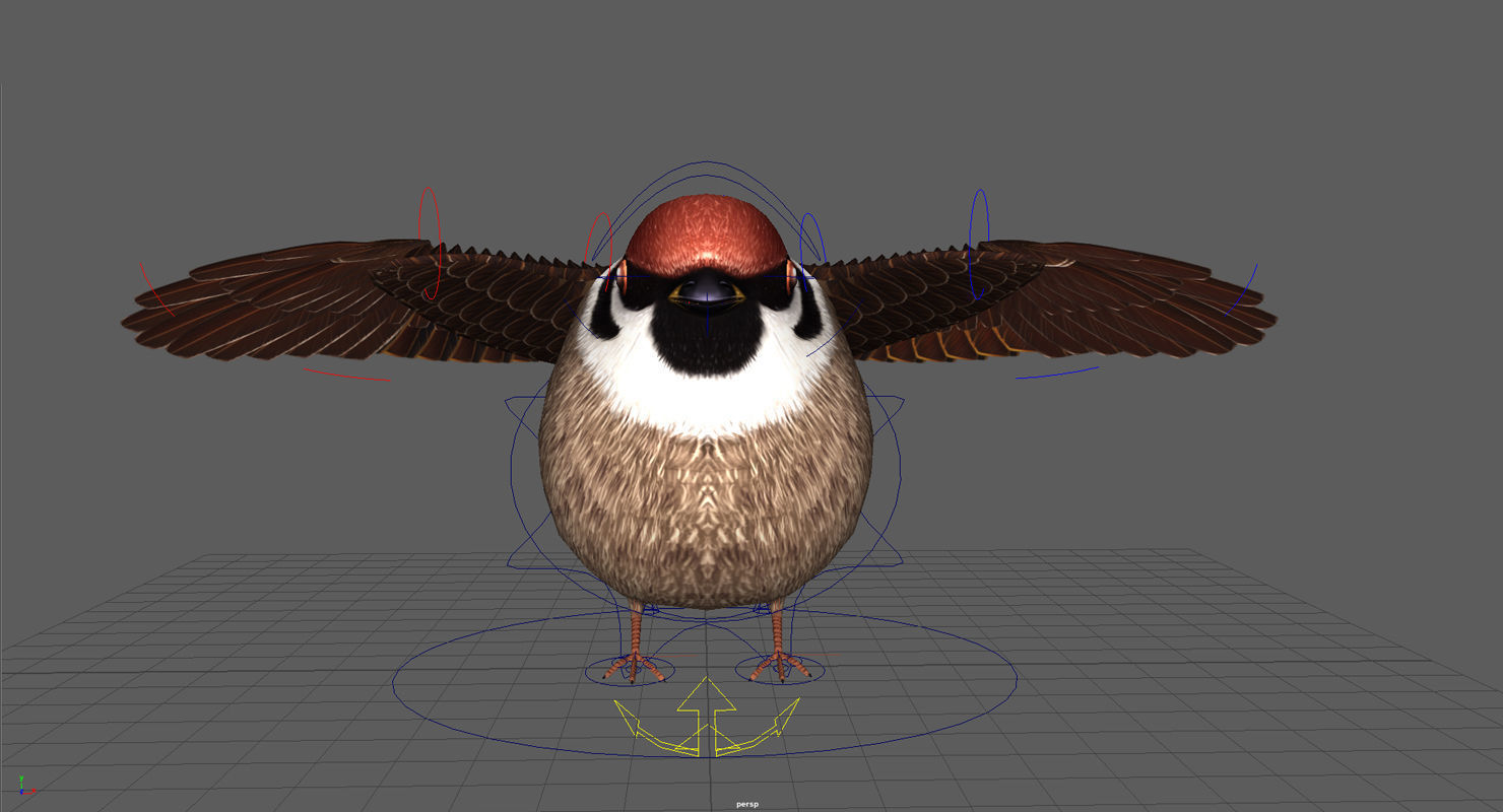 3D model Sparrow bird VR / AR / low-poly | CGTrader