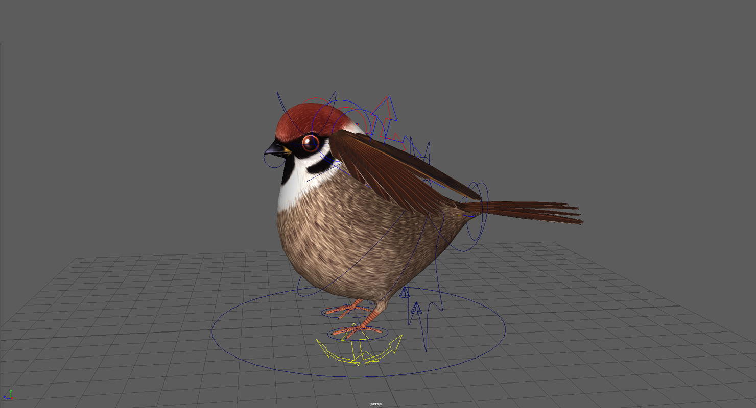 3D model Sparrow bird VR / AR / low-poly | CGTrader
