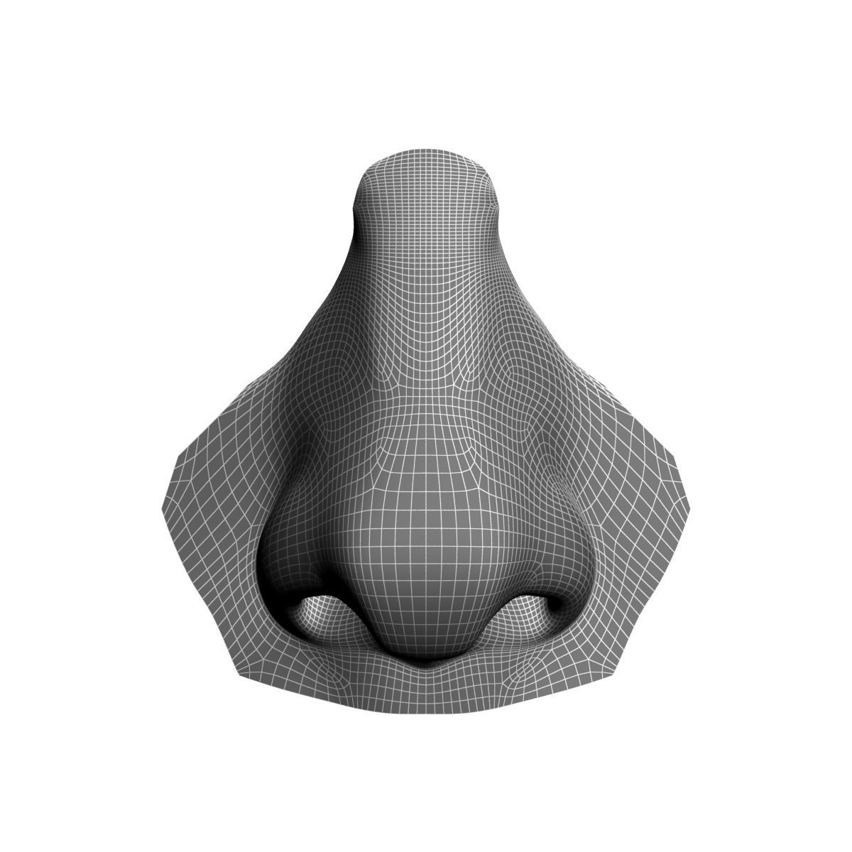 Human nose 3D Model .max .stl - CGTrader.com