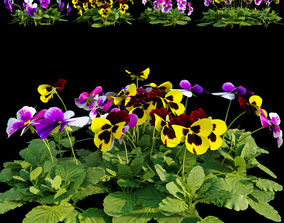 Violet 3D Models | CGTrader