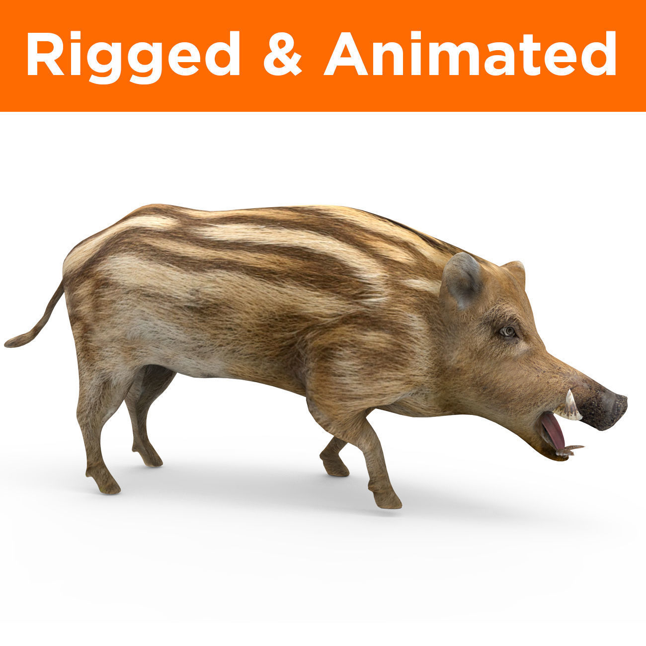 3D model 3d Boar Rigged and Animated model VR / AR / low-poly rigged ...