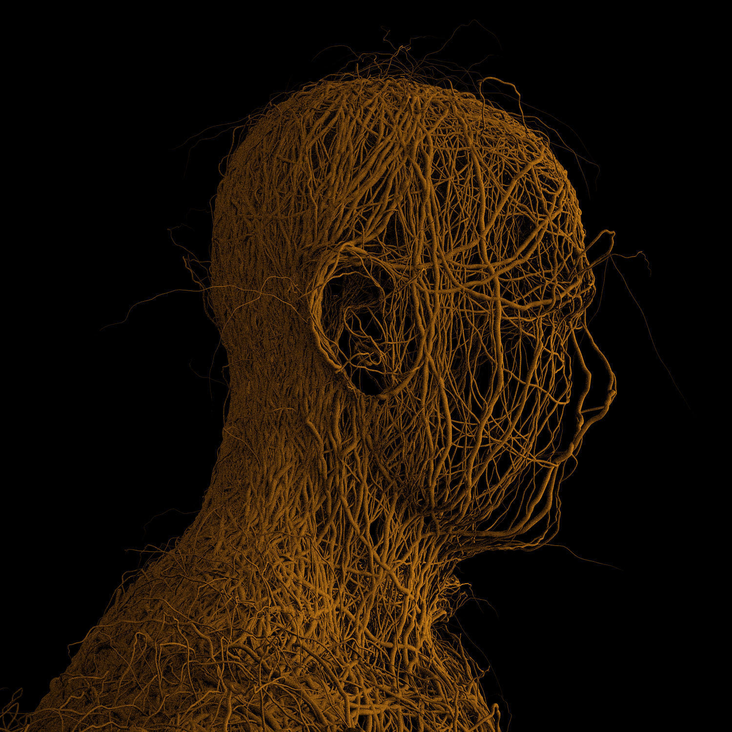 Rigged Ivy Human 3D model rigged | CGTrader