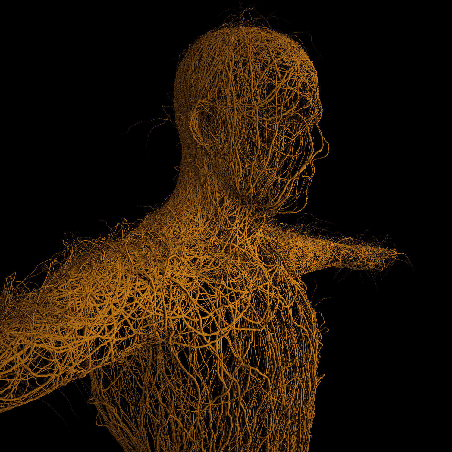 Rigged Ivy Human 3D model rigged | CGTrader