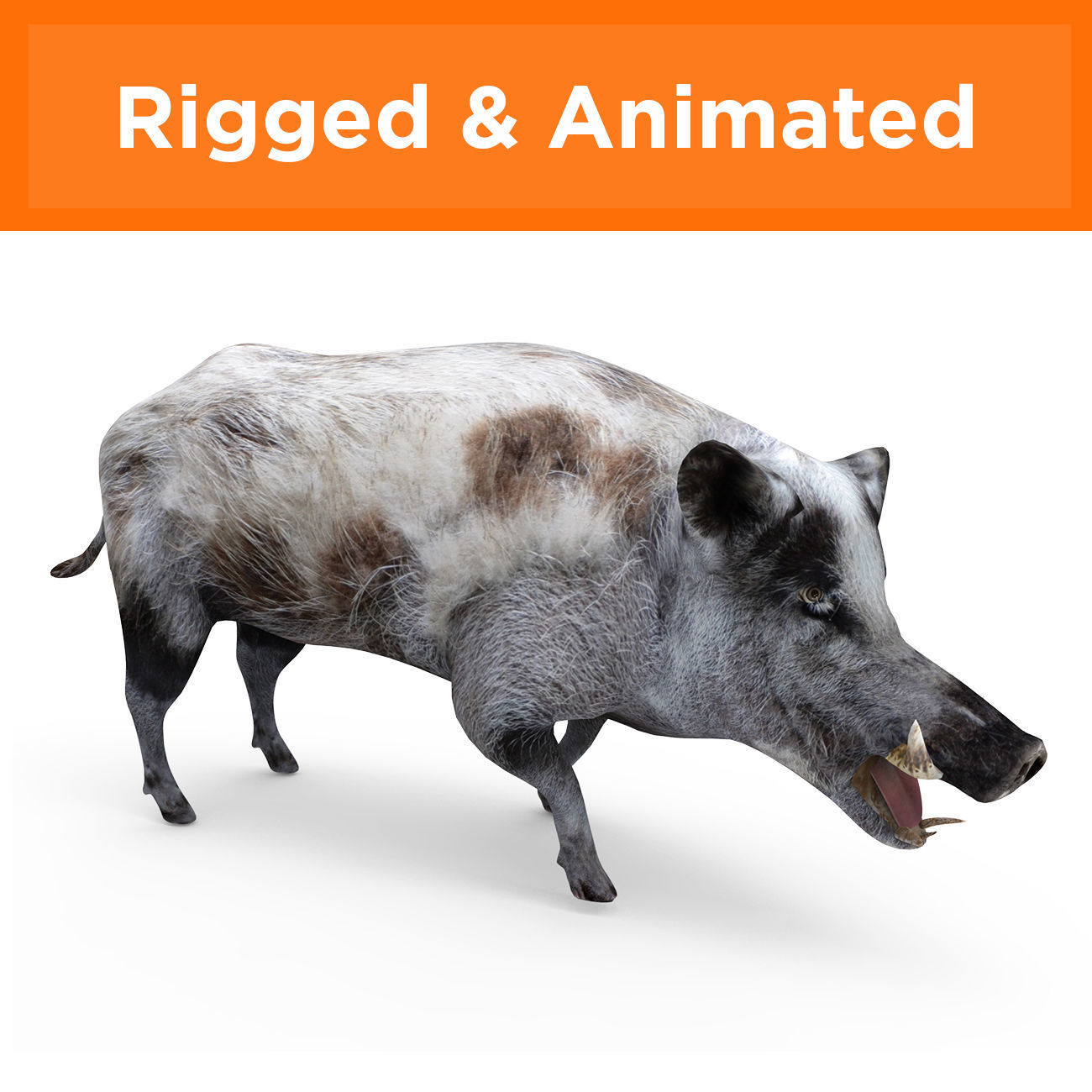 3D model White Wild Boar Rigged and Animated 3D Model VR / AR / low ...