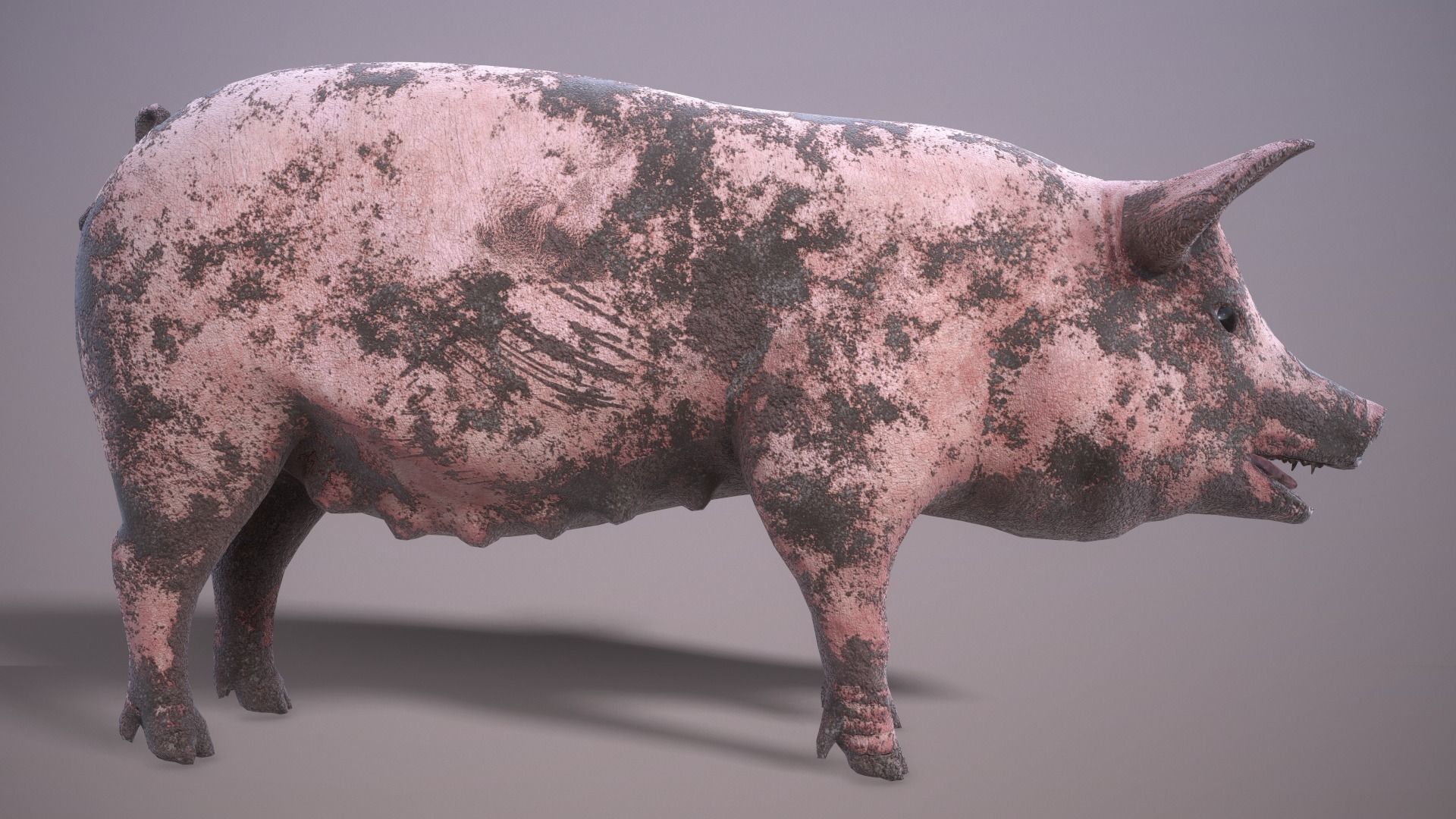 3D model Pig rigged PBR VR / AR / low-poly rigged | CGTrader