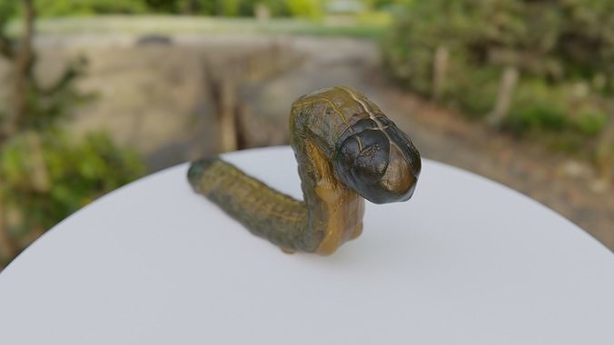 3D model Young Fall Armyworm VR / AR / low-poly | CGTrader