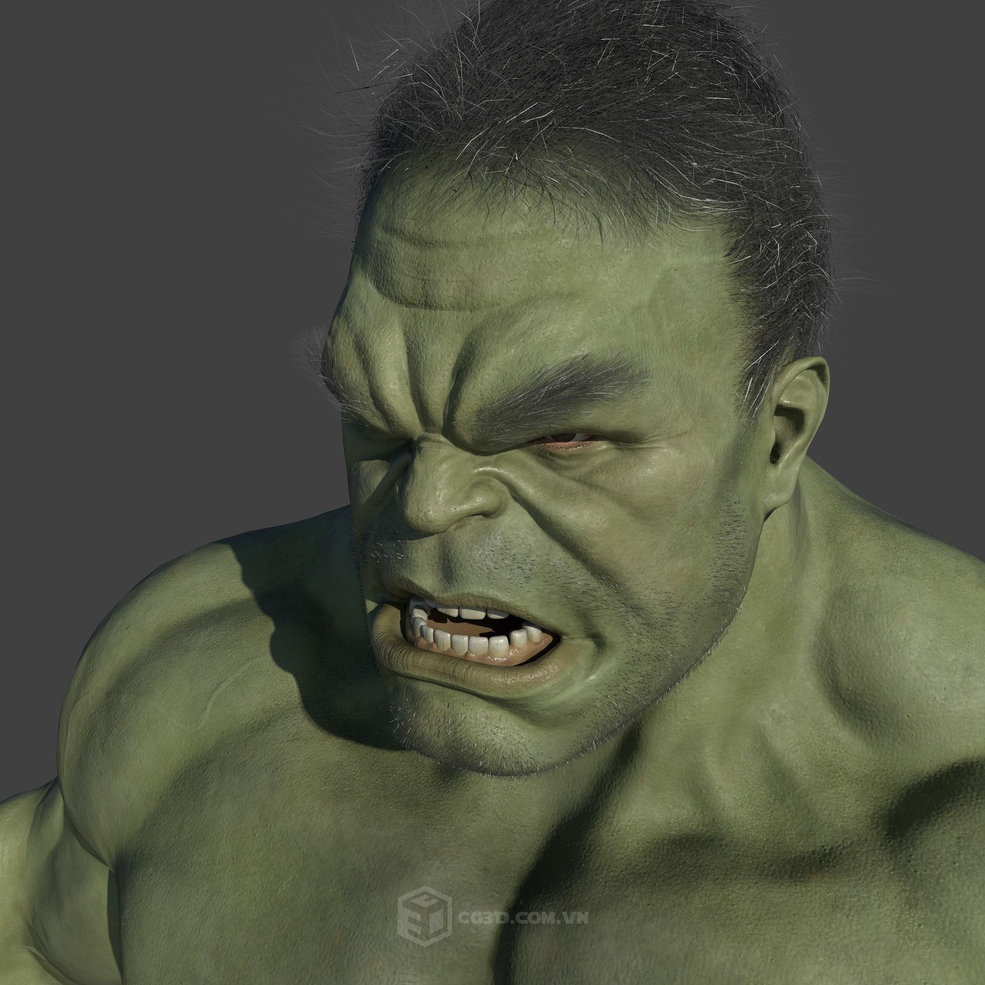 Hulk Model- Highpoly 3D model | CGTrader