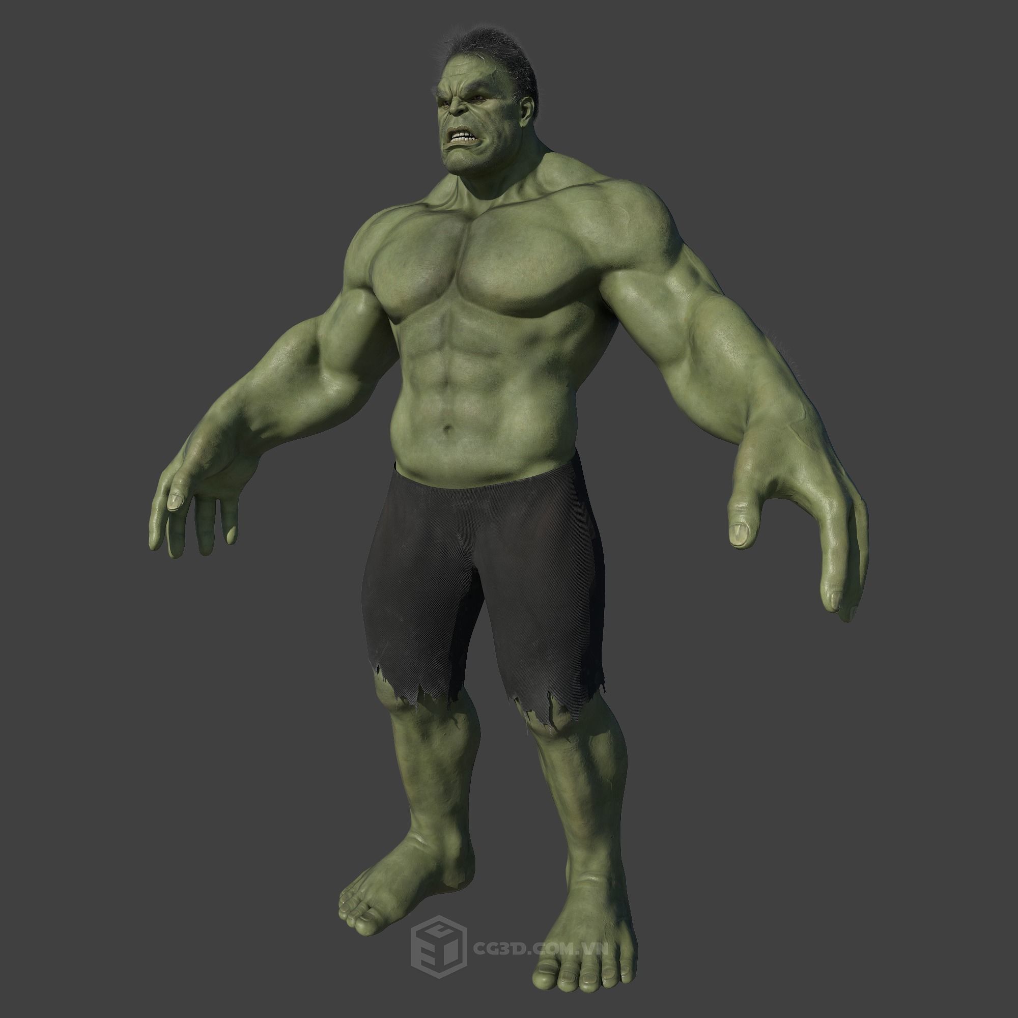 Hulk Model- Highpoly 3D model | CGTrader