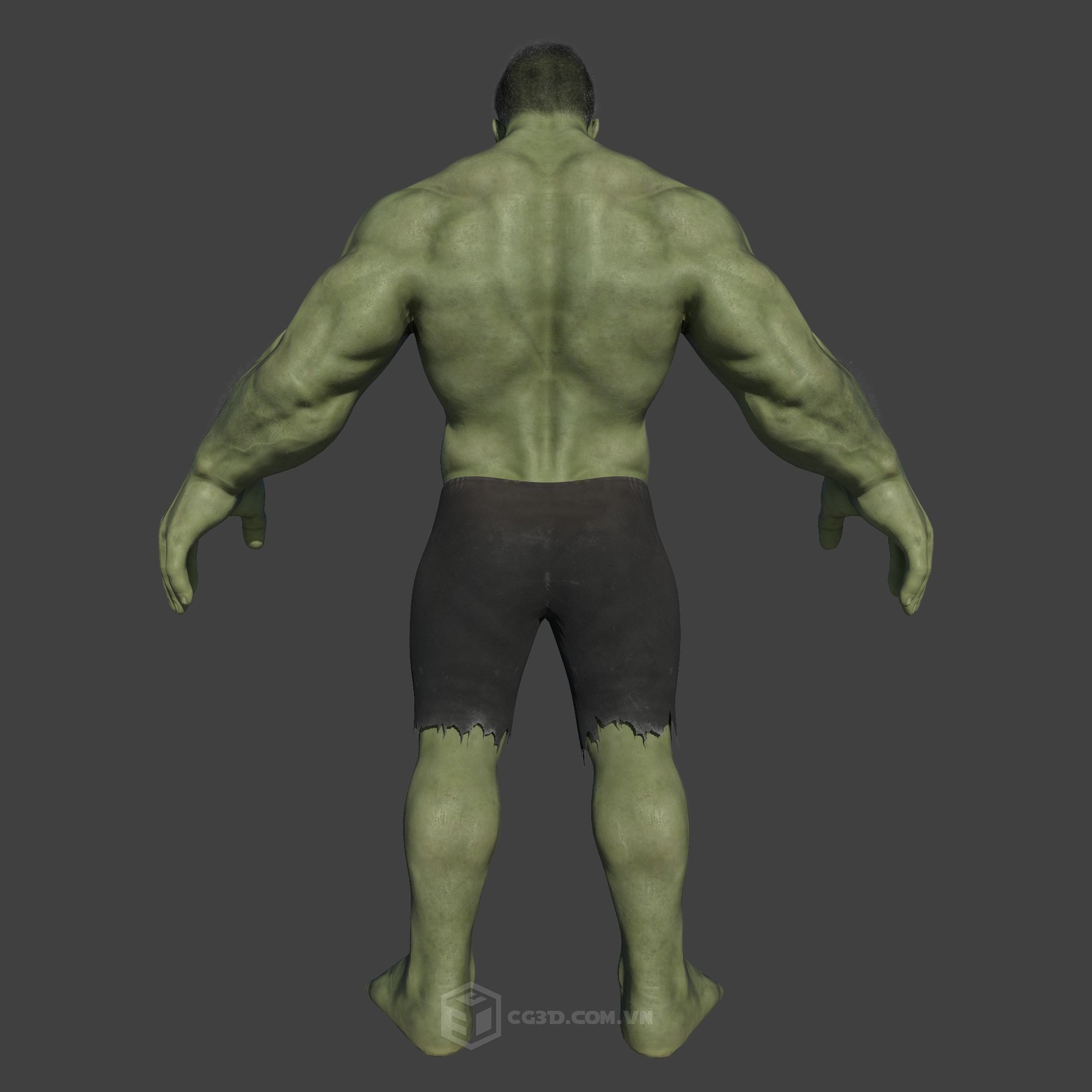 Hulk Model- Highpoly 3D model | CGTrader