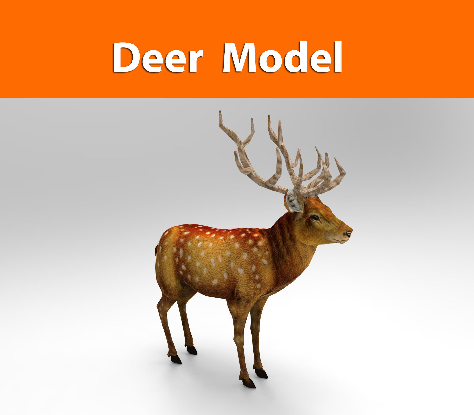 3D model 3d Deer low poly with antlers VR / AR / low-poly | CGTrader