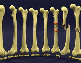Types 3D Models | CGTrader