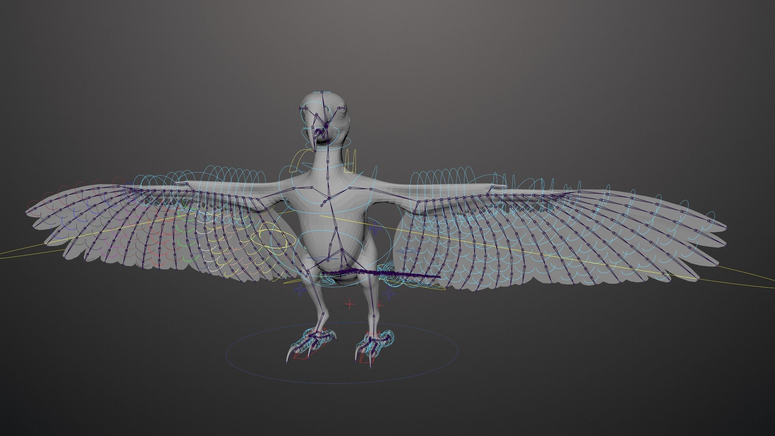 Basic model with Animation RIG of Macaw 3D model rigged | CGTrader