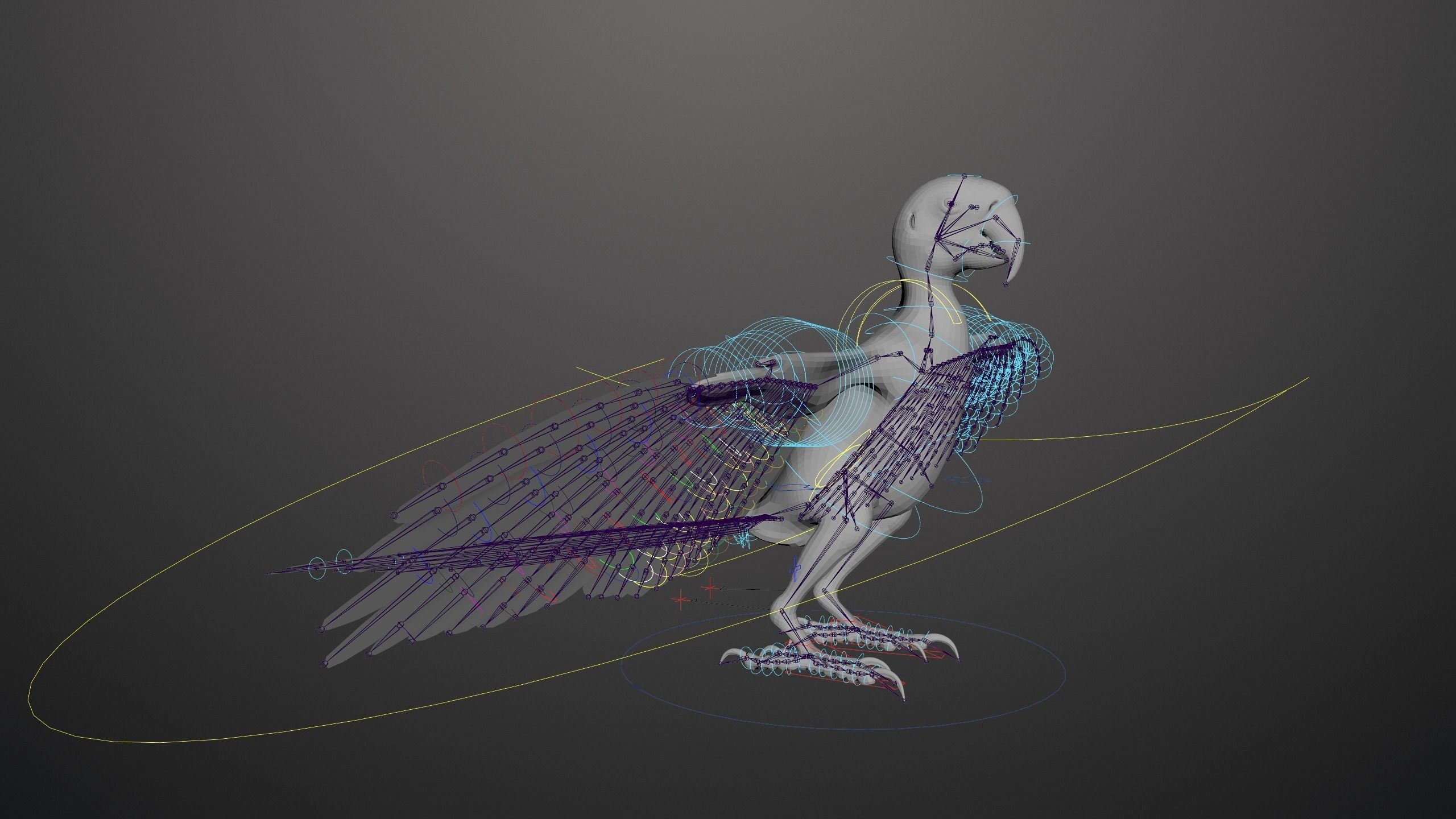 Basic model with Animation RIG of Macaw 3D model rigged | CGTrader