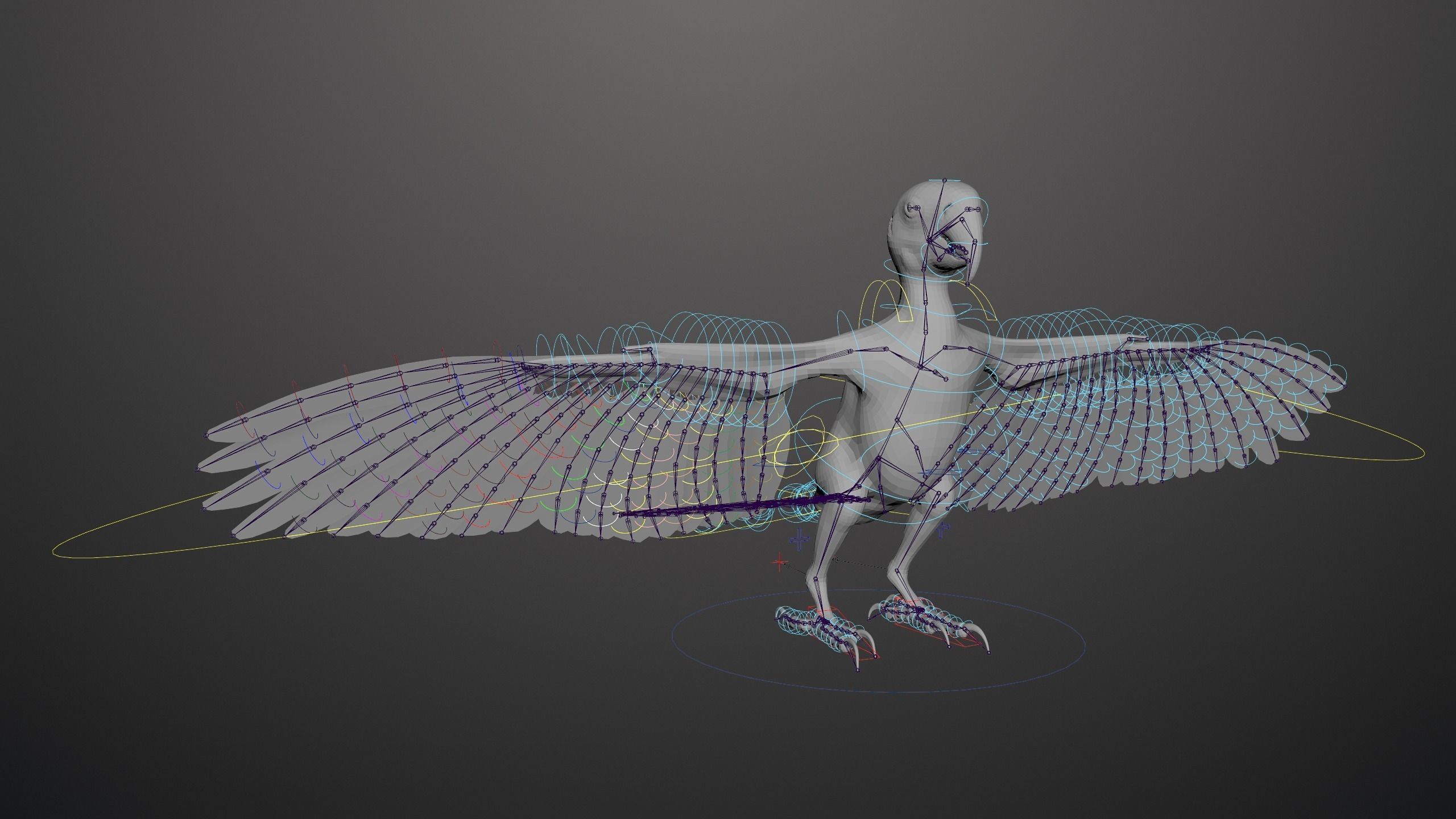 Basic model with Animation RIG of Macaw 3D model rigged | CGTrader