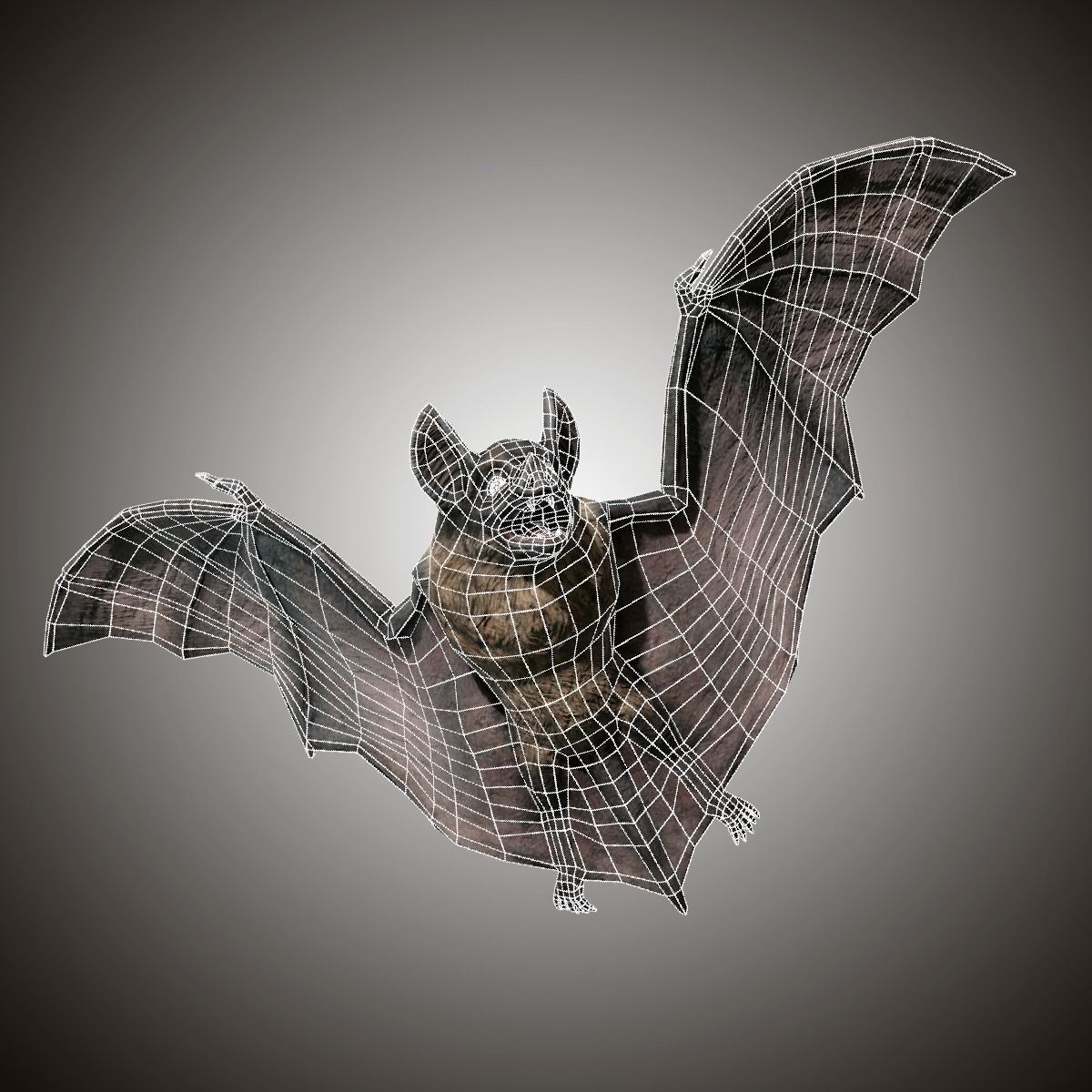 3D model Vampire Dark Bat VR / AR / low-poly animated | CGTrader