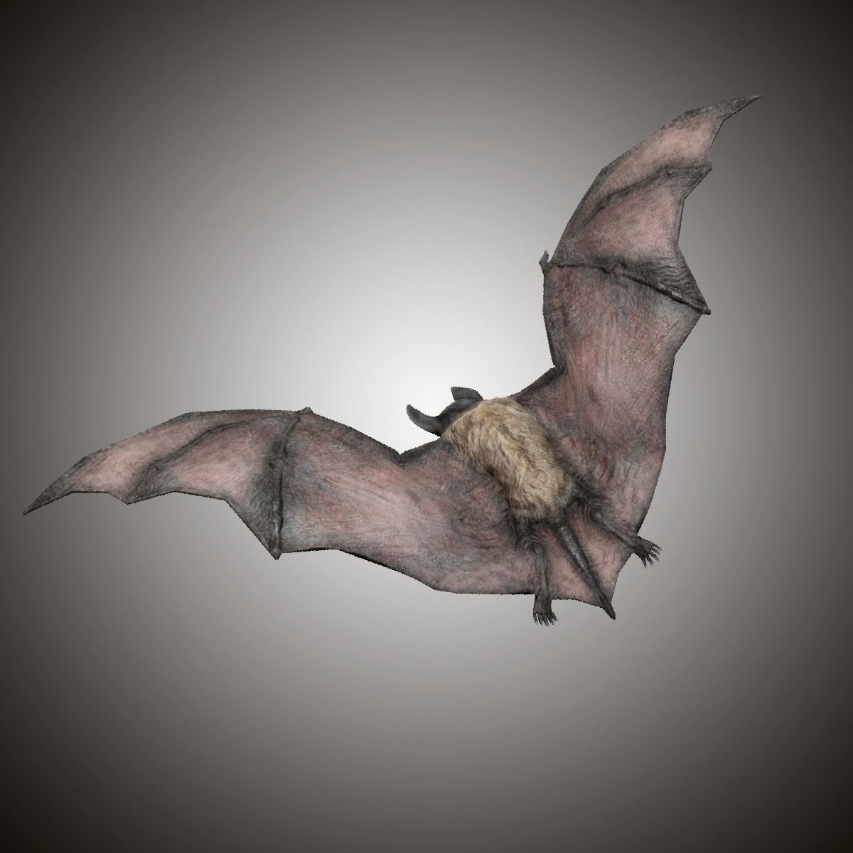3D model Vampire Dark Bat VR / AR / low-poly animated | CGTrader