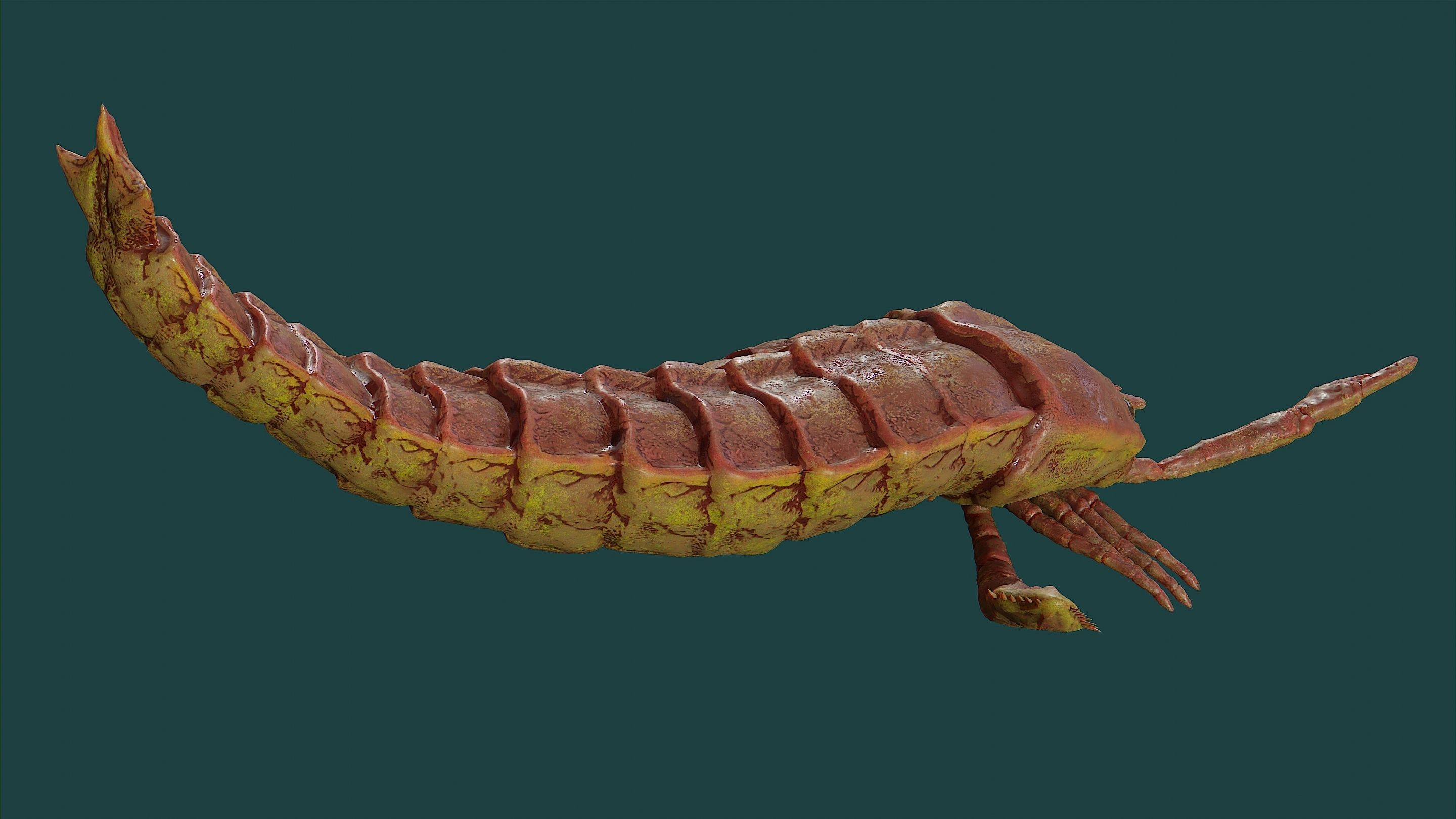 3D model Eurypterid Jaekelopterus rhenaniae ancient animal detailed VR ...