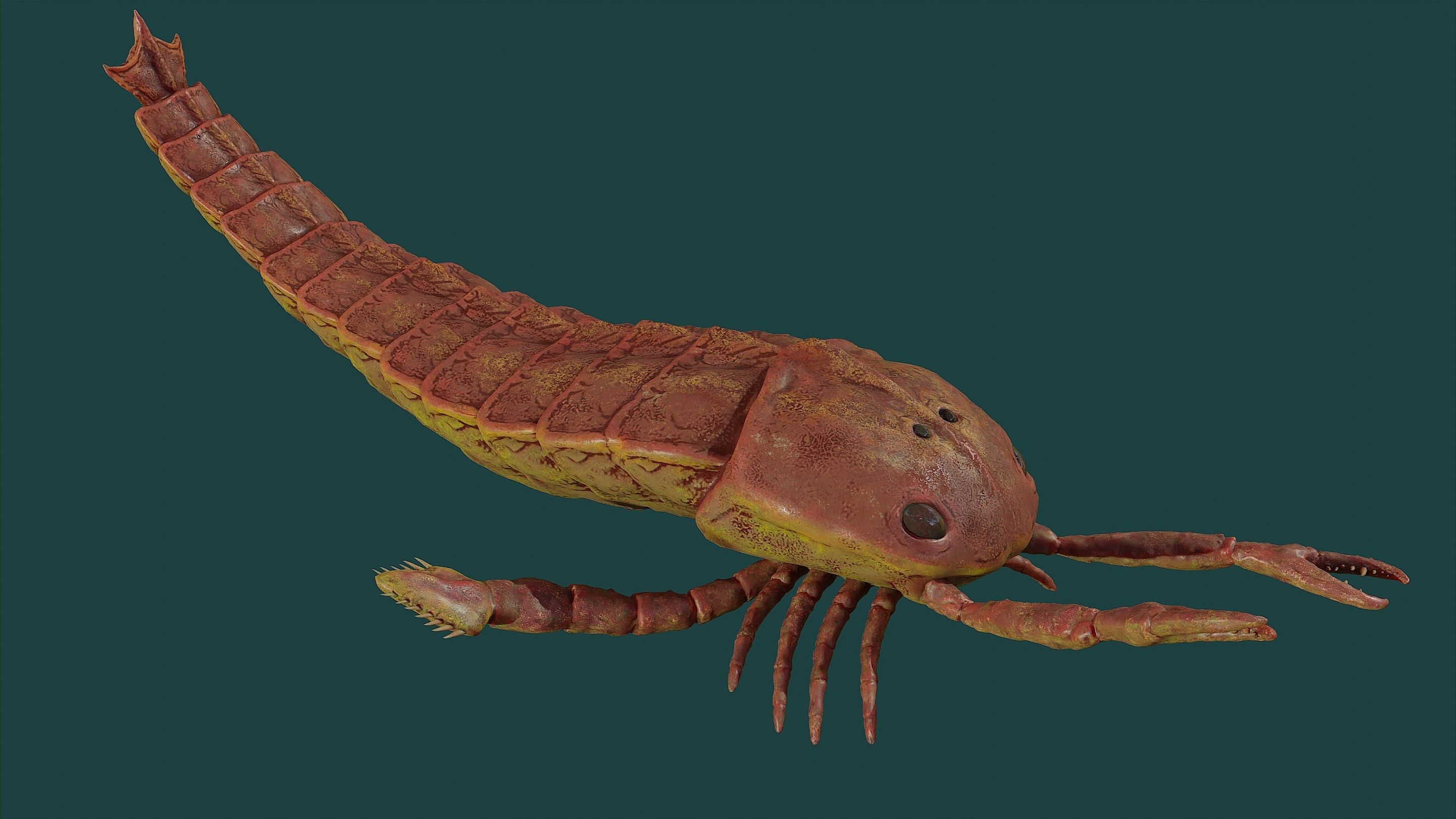 3D model Eurypterid Jaekelopterus rhenaniae ancient animal detailed VR ...