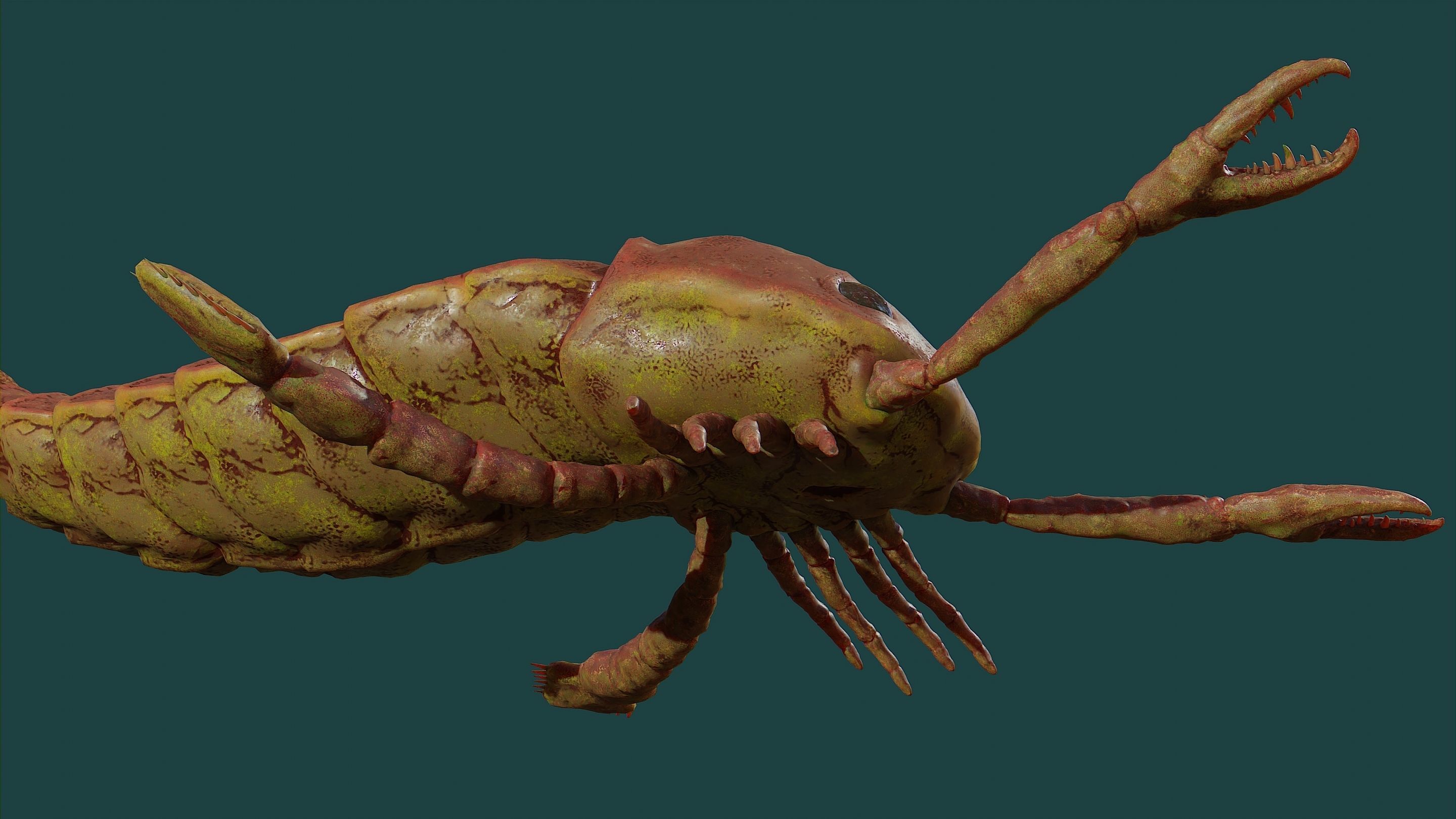 3D model Eurypterid Jaekelopterus rhenaniae ancient animal detailed VR ...