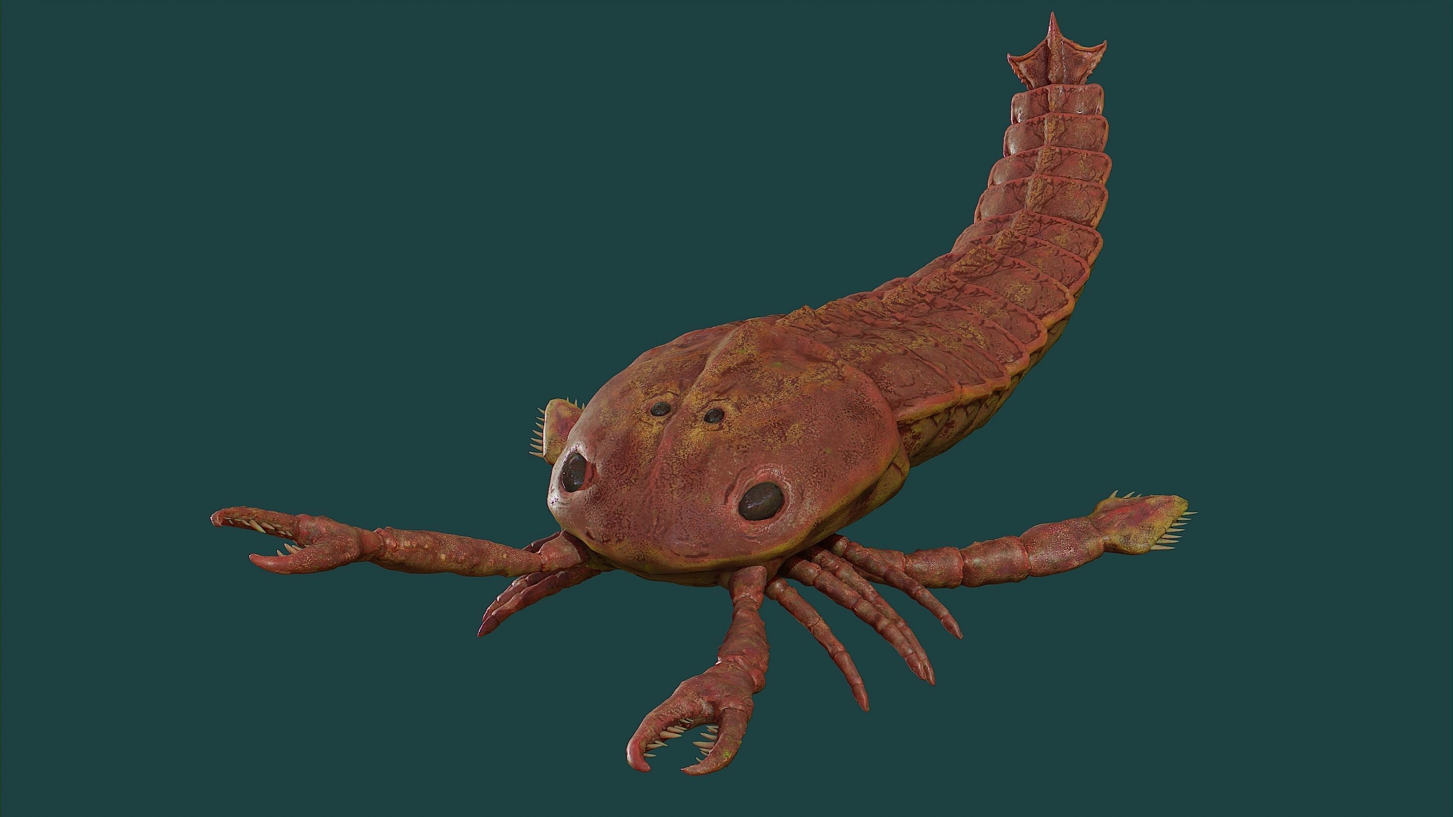 3D model Eurypterid Jaekelopterus rhenaniae ancient animal detailed VR ...