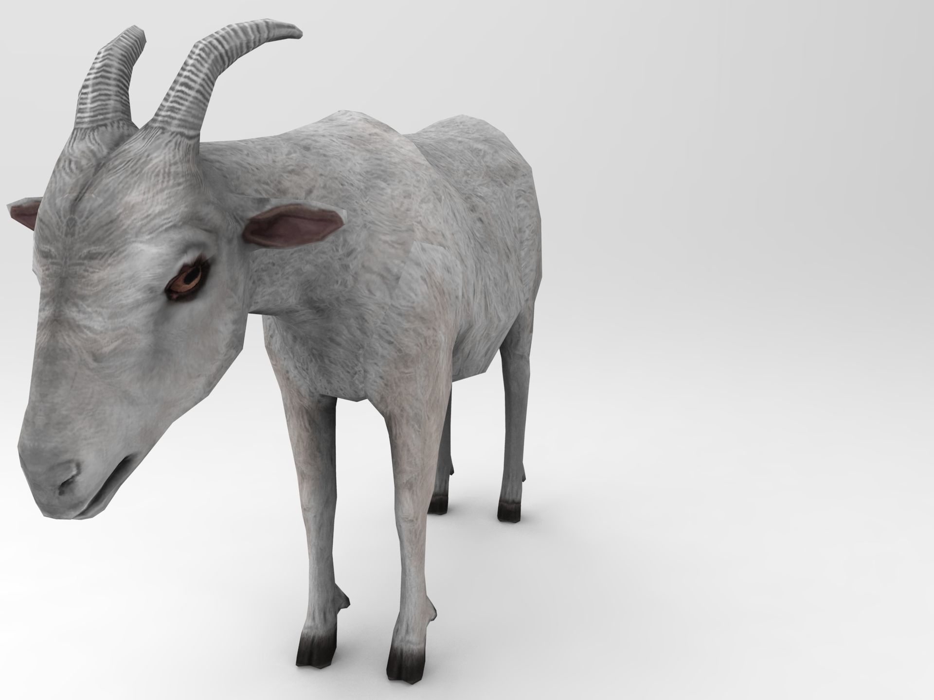 3D model 3D White Goat low poly Model VR / AR / low-poly | CGTrader