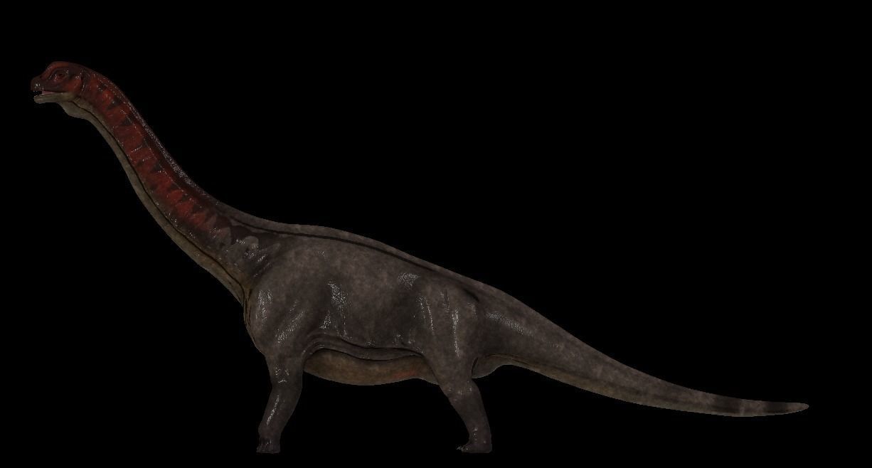 3D model Padillasaurus Asset Pack VR / AR / low-poly rigged animated ...