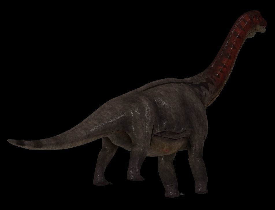 3D model Padillasaurus Asset Pack VR / AR / low-poly rigged animated ...