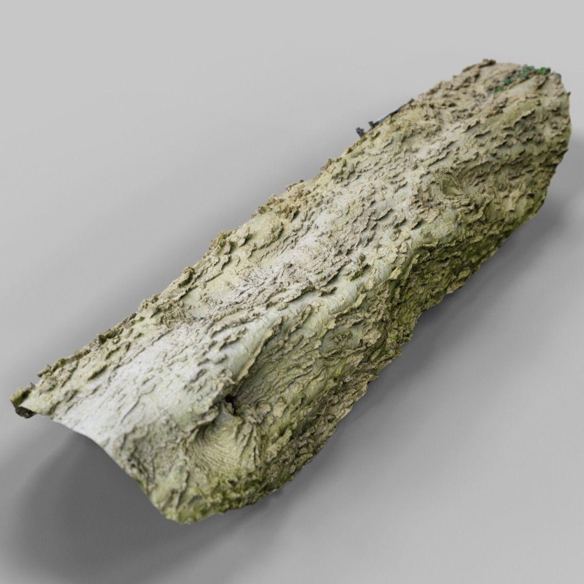 3D model Highly Detailed Realistic Bark Sample 1 VR / AR / low-poly ...