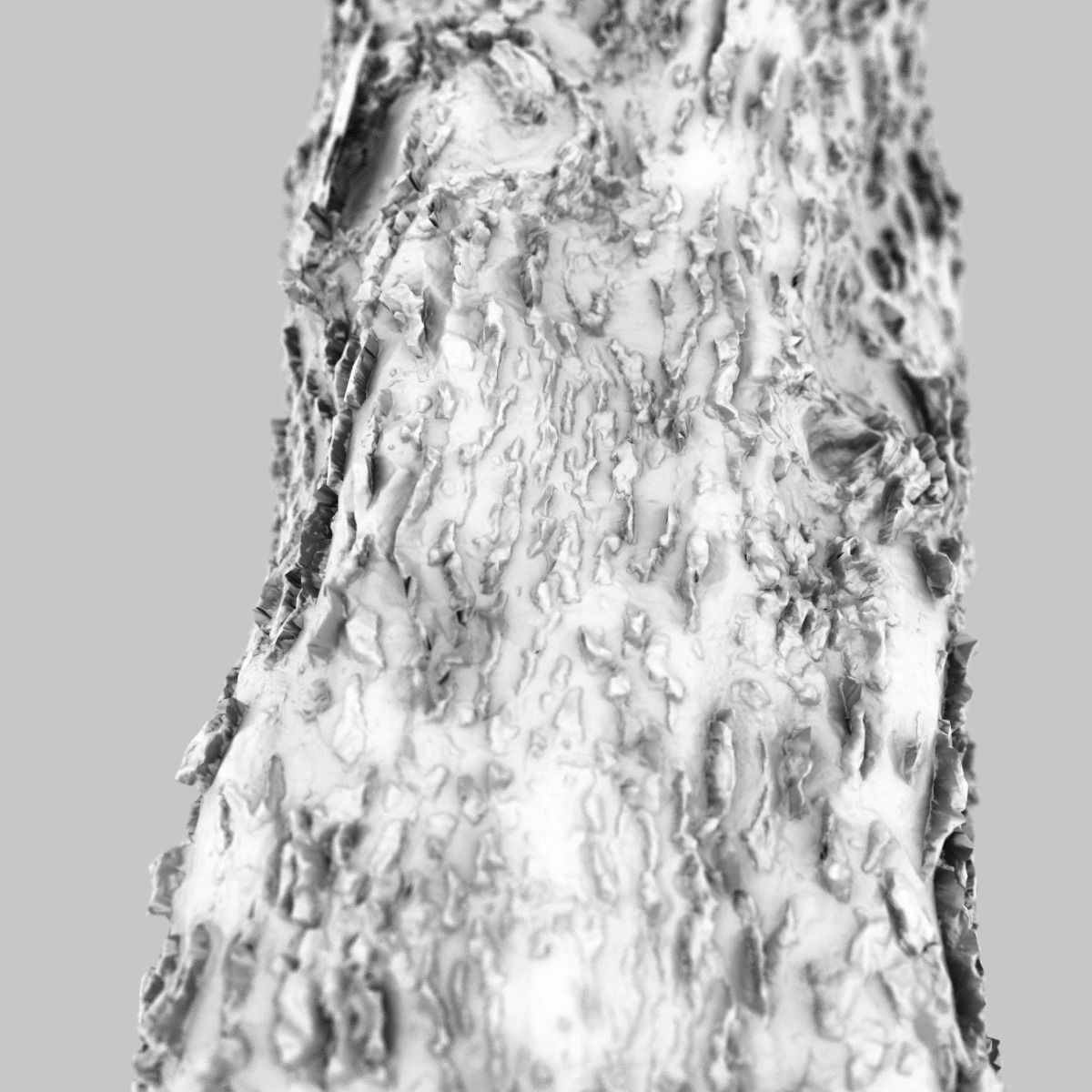 3D model Highly Detailed Realistic Bark Sample 1 VR / AR / low-poly ...