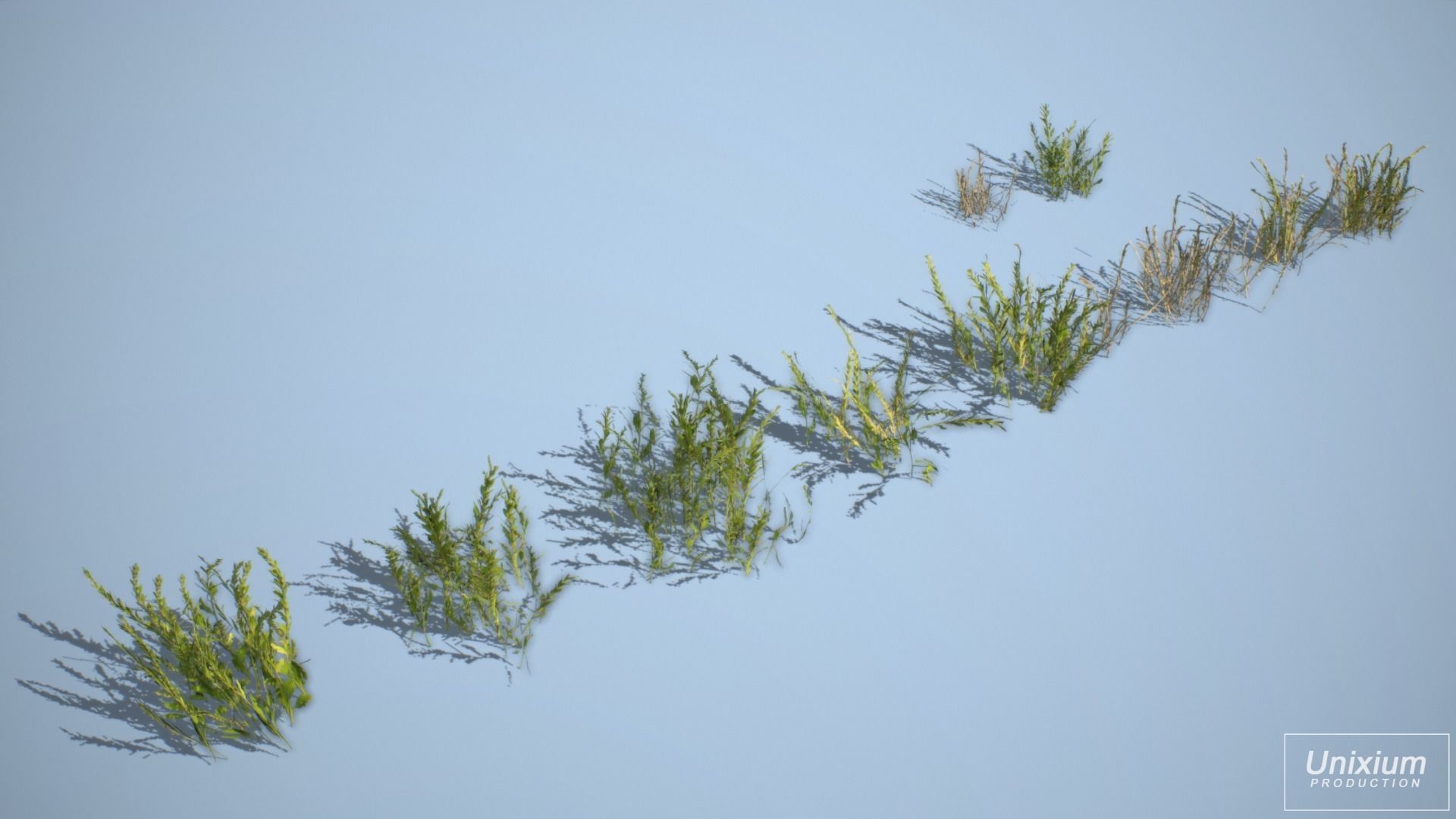 3D model Vegetation Pack 03 VR / AR / low-poly | CGTrader