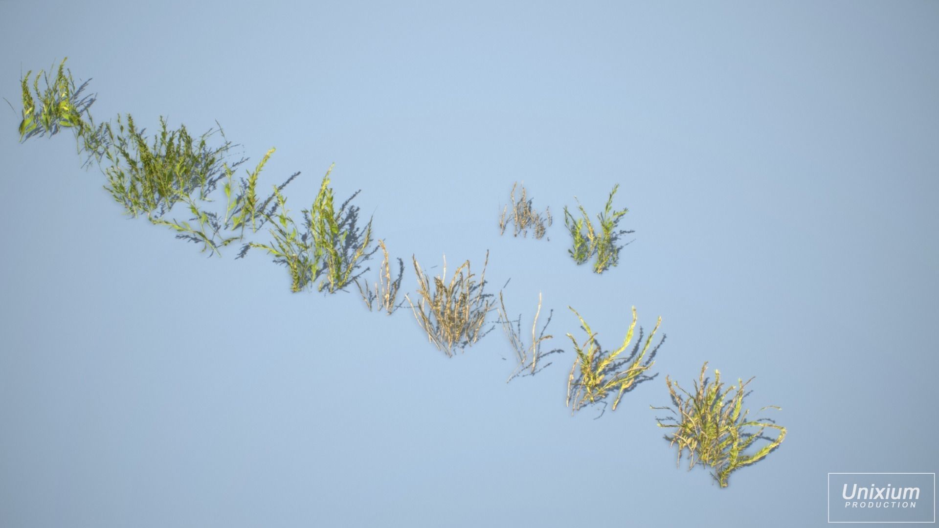 3D model Vegetation Pack 03 VR / AR / low-poly | CGTrader