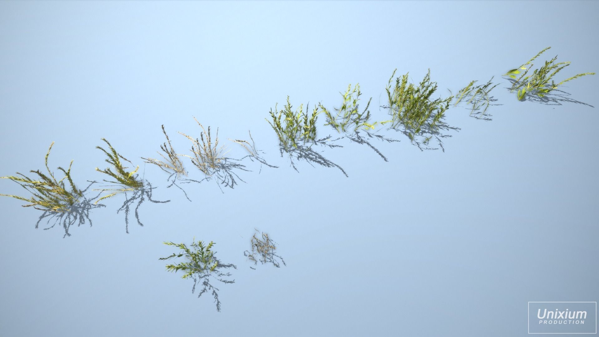 3D model Vegetation Pack 03 VR / AR / low-poly | CGTrader