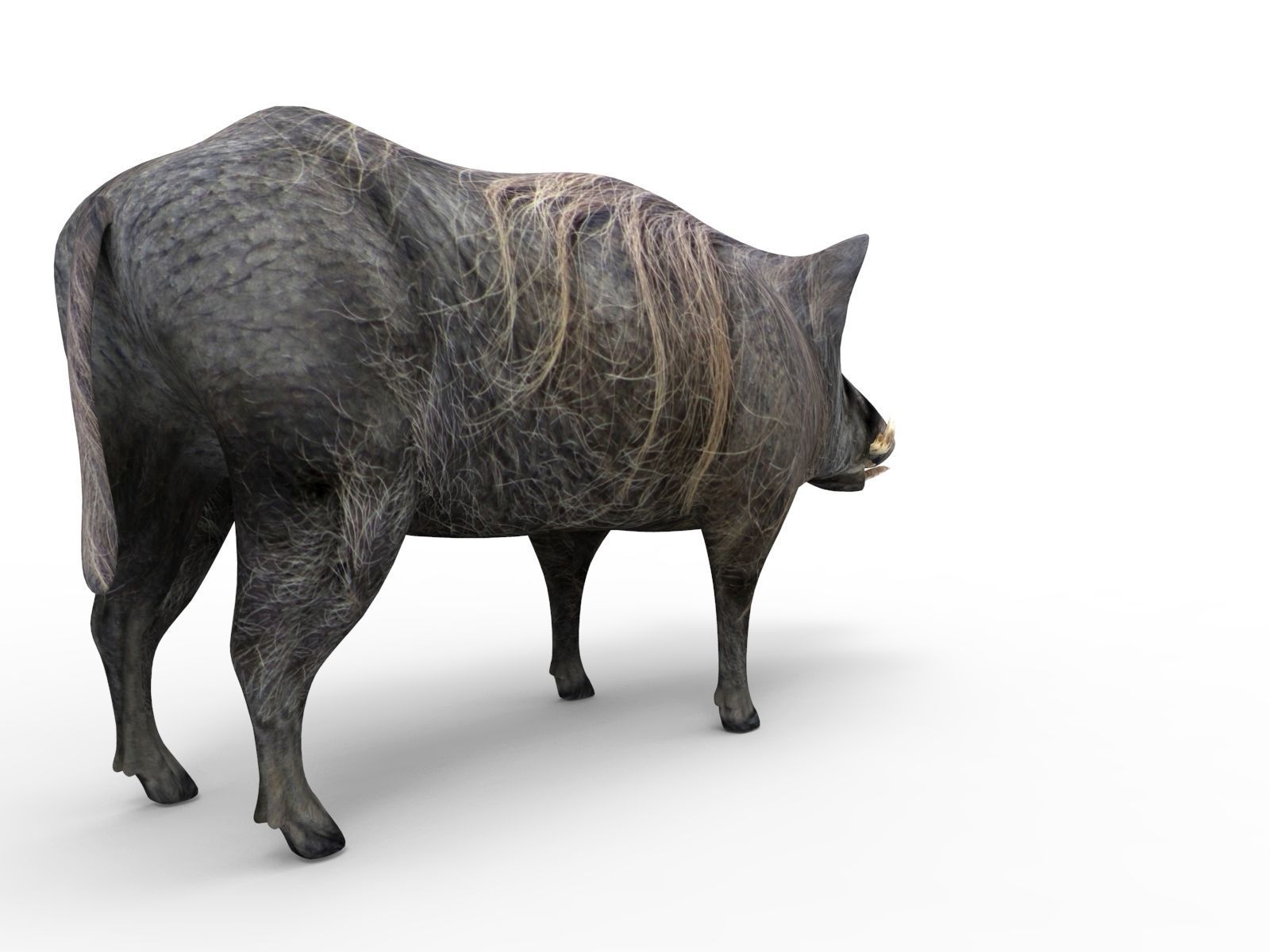 3D model 3D Boar Rigged 3D Models game ready VR / AR / low-poly rigged ...