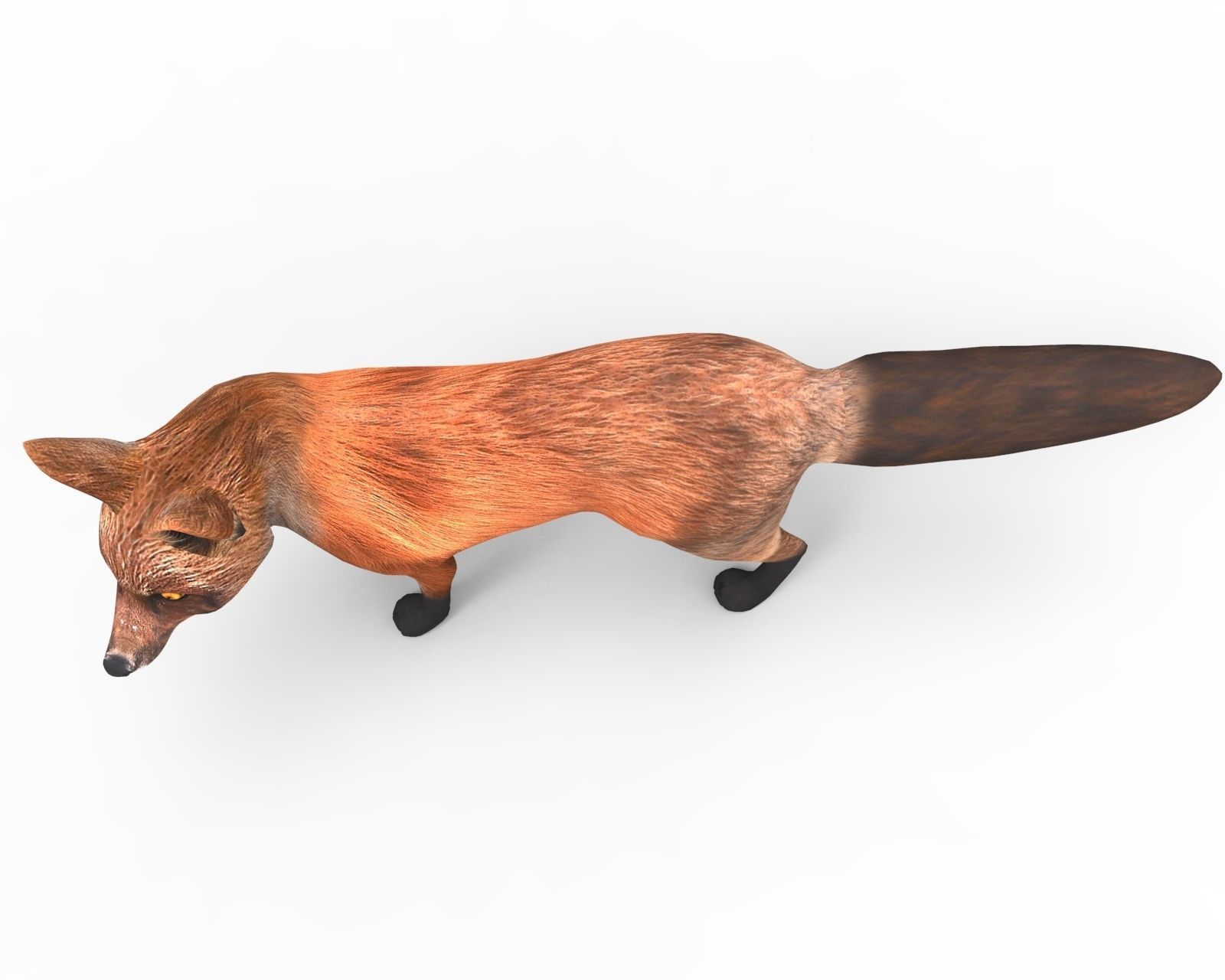 3D model 3D Fox rigged Model VR / AR / low-poly rigged | CGTrader