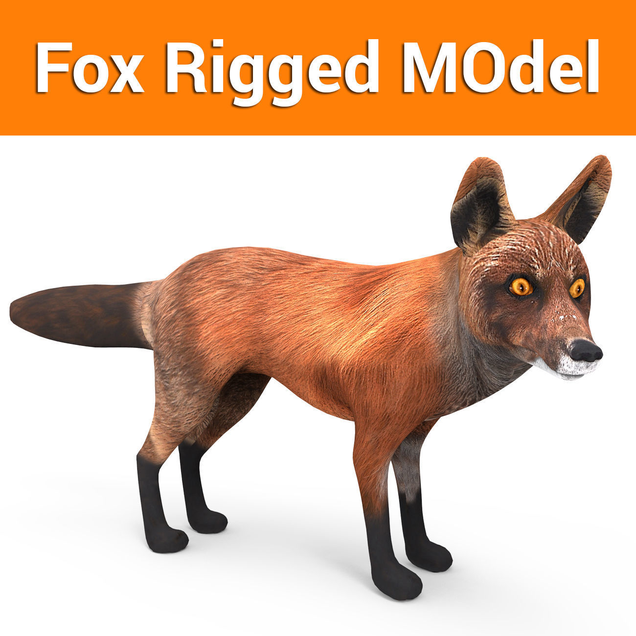 3D model 3D Fox rigged Model VR / AR / low-poly rigged | CGTrader