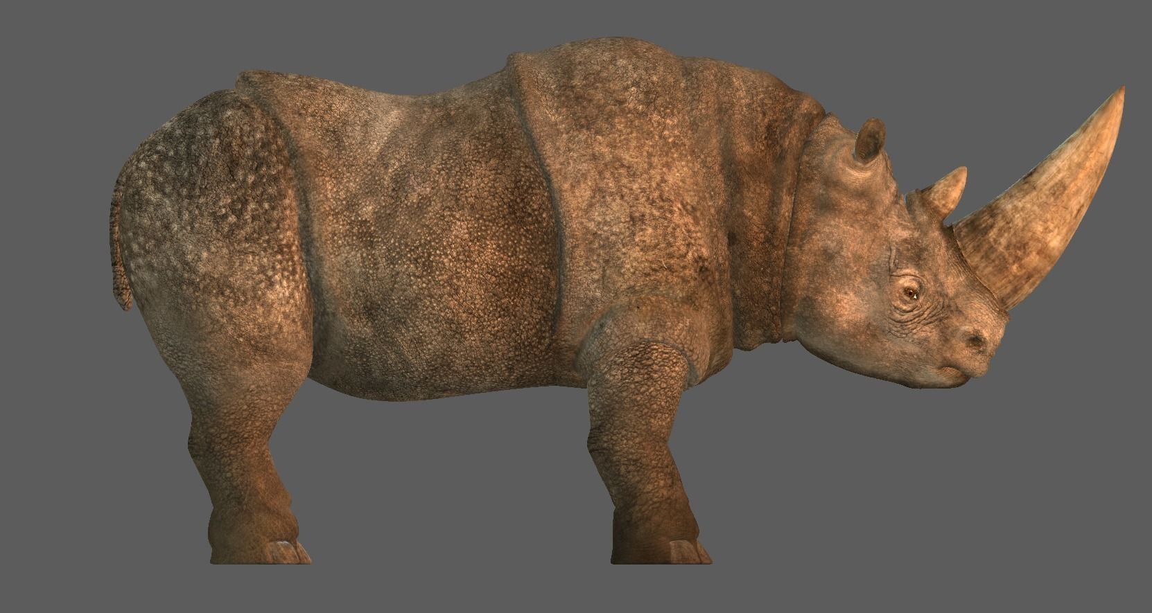 RHINO 3D RIG MODEL WITH TEXTURES 3D model rigged | CGTrader