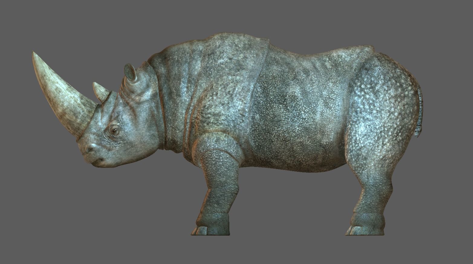 RHINO 3D RIG MODEL WITH TEXTURES 3D model rigged | CGTrader