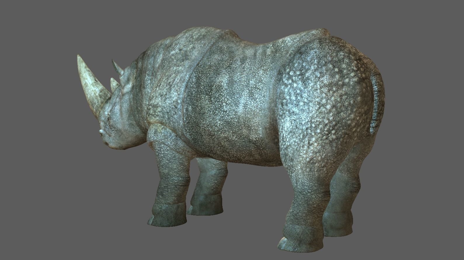 RHINO 3D RIG MODEL WITH TEXTURES 3D model rigged | CGTrader
